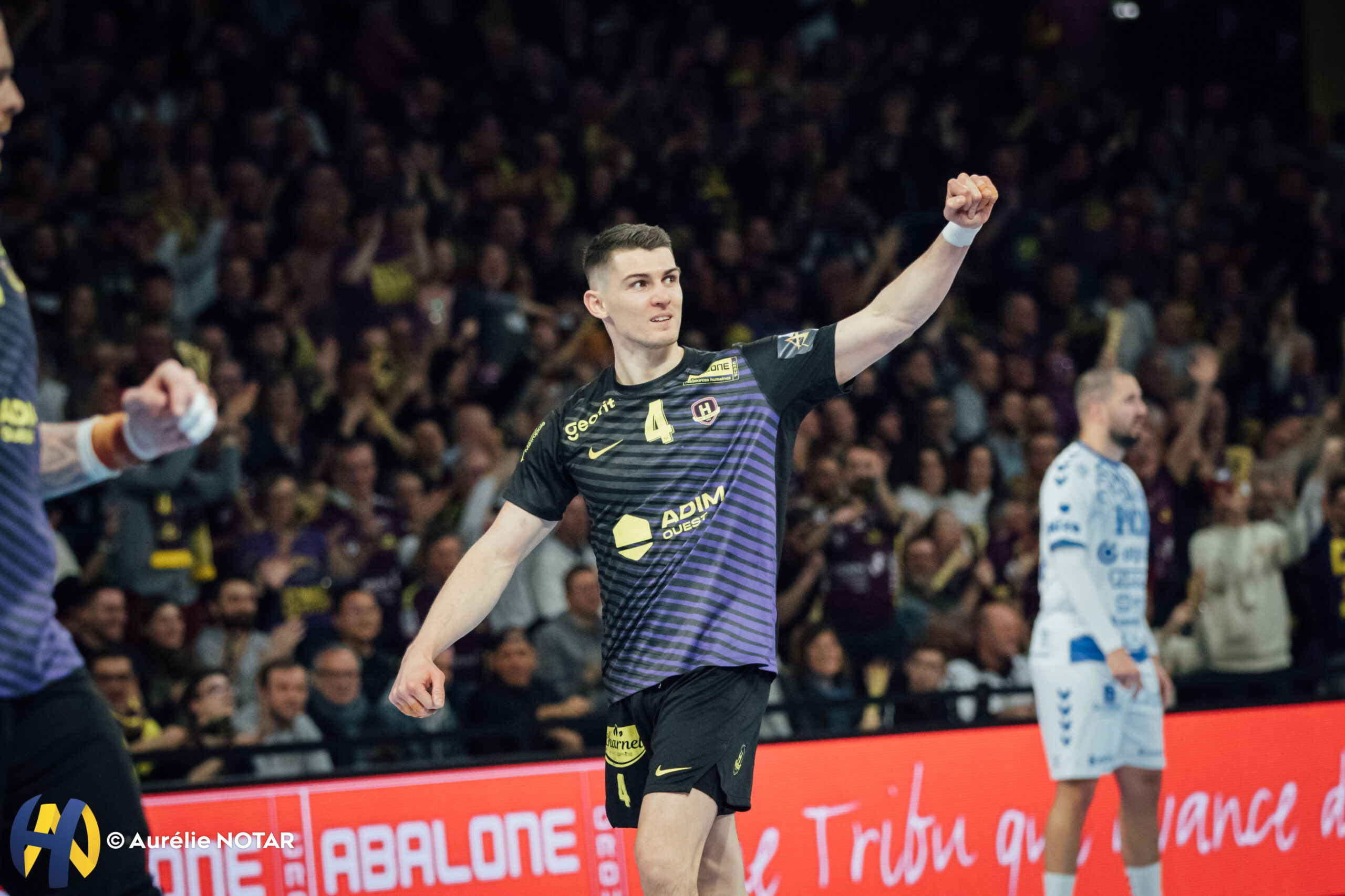 LMS | Aymeric Minne sans doute de retour avec les Violets - HandNews