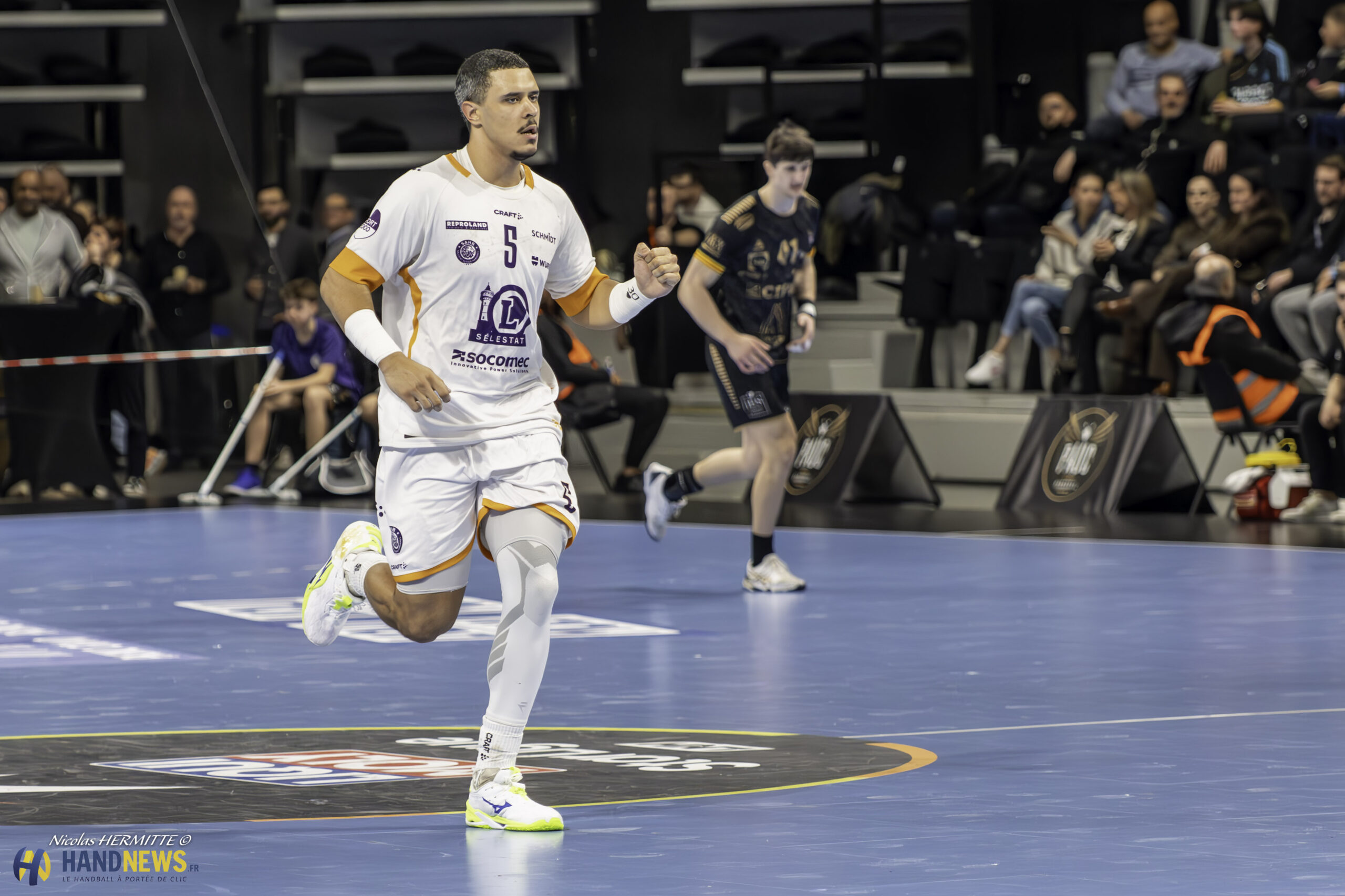 LMS | Sélestat prolonge plusieurs cadres - HandNews